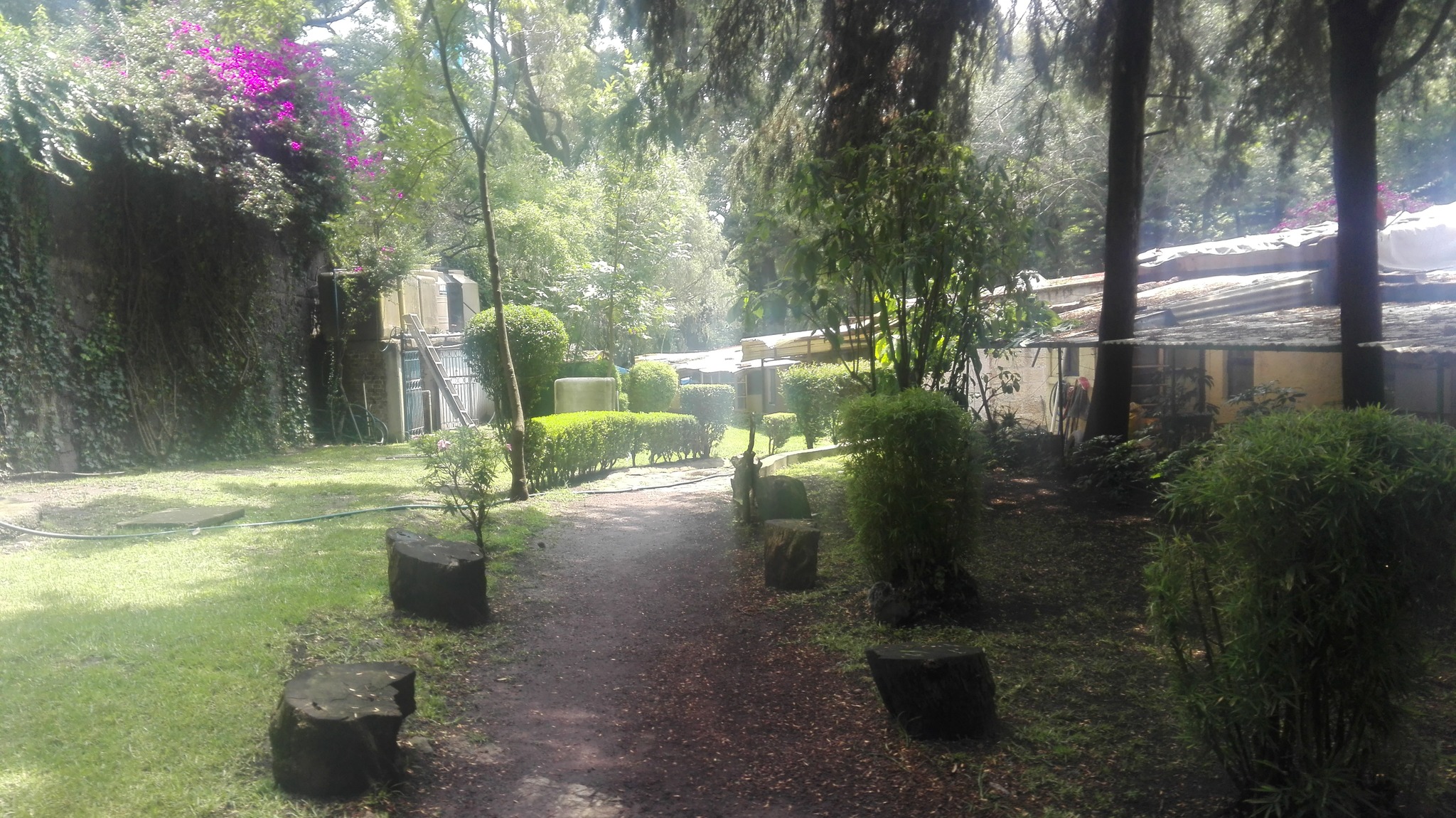 Visiting Parque Ecológico Loreto Y Peña Pobre In Mexico City Iberian